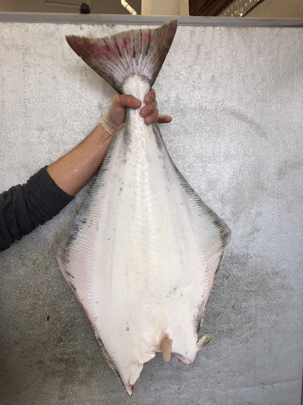 Halibut - Wild Caught from Canada - Local 130 Seafood NJHome Delivery