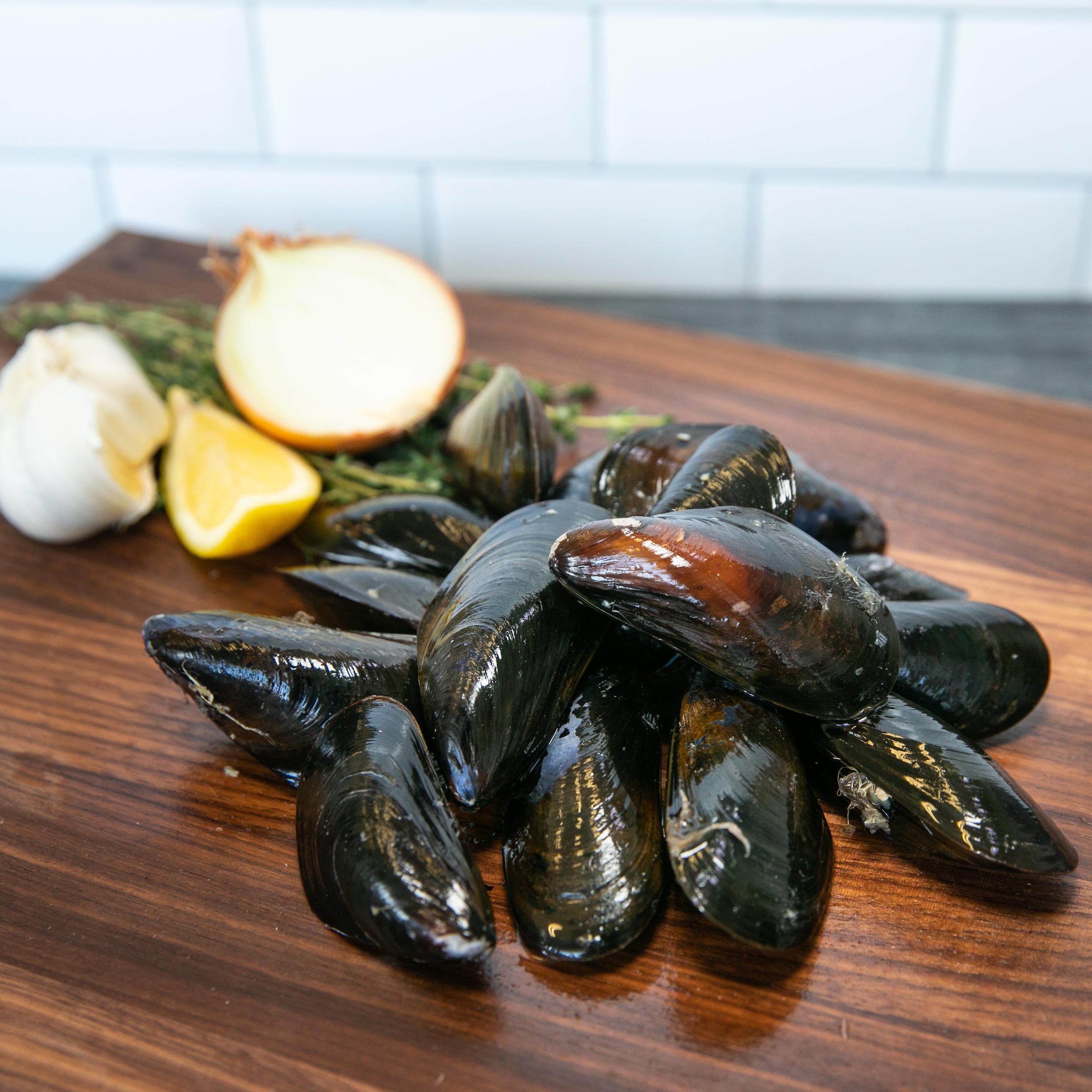 Live Mussels In Ocean